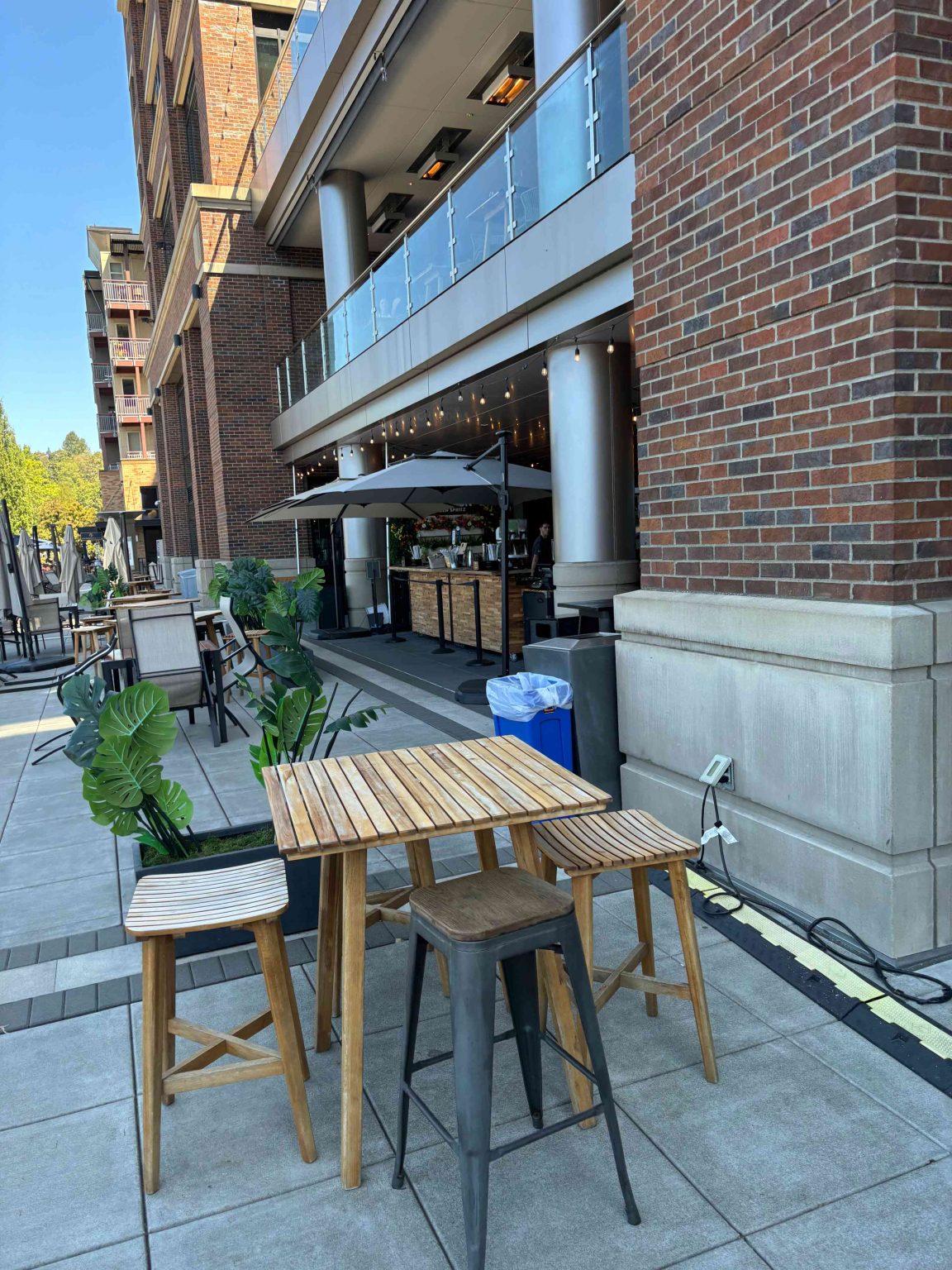 Commercial Pest Control Services Near Me | Seattle Exterminators