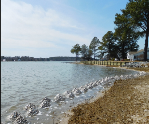 Pest & Rodent Control Services in Shoreline, WA - Seattle Exterminators