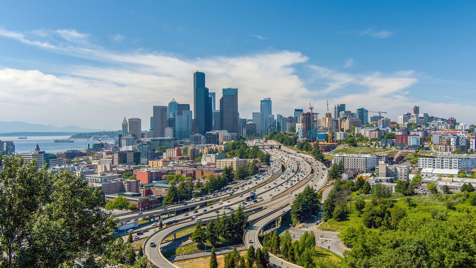 Pest & Rodent Control Services in Renton, WA - Seattle-exterminator